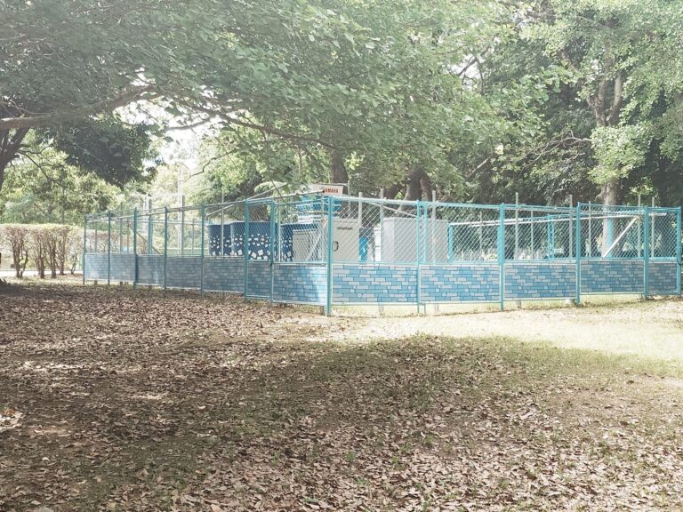 ヤマハの公園池浄化装置の確認結果 | 100億人に届け命の水